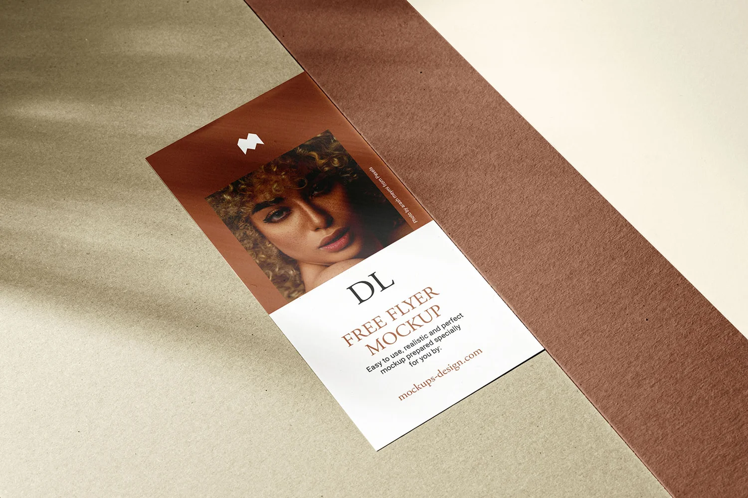 Single DL Flyer With Some Cardboard Mockup