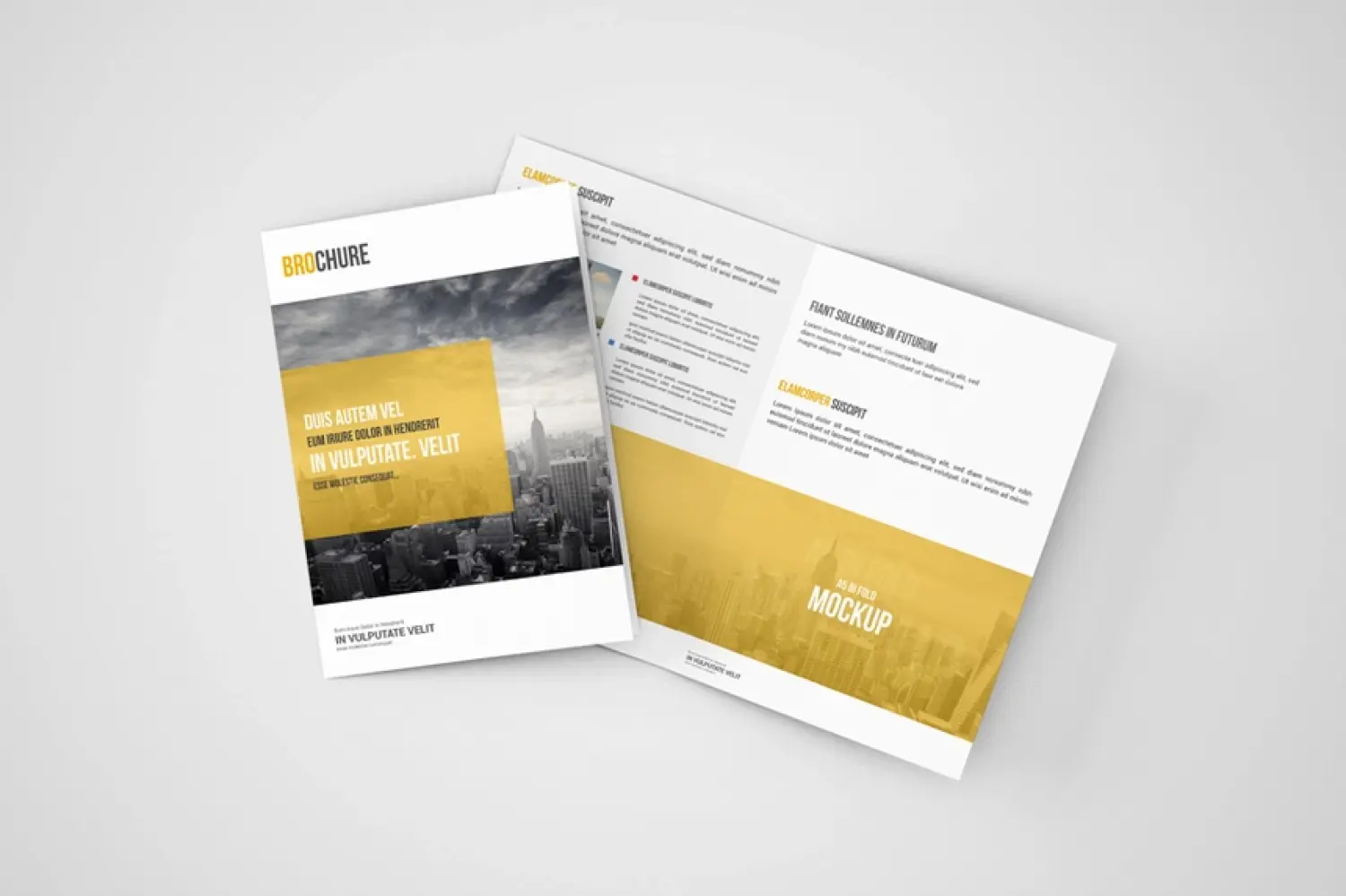 A5 Bi-Fold Brochure Mockups