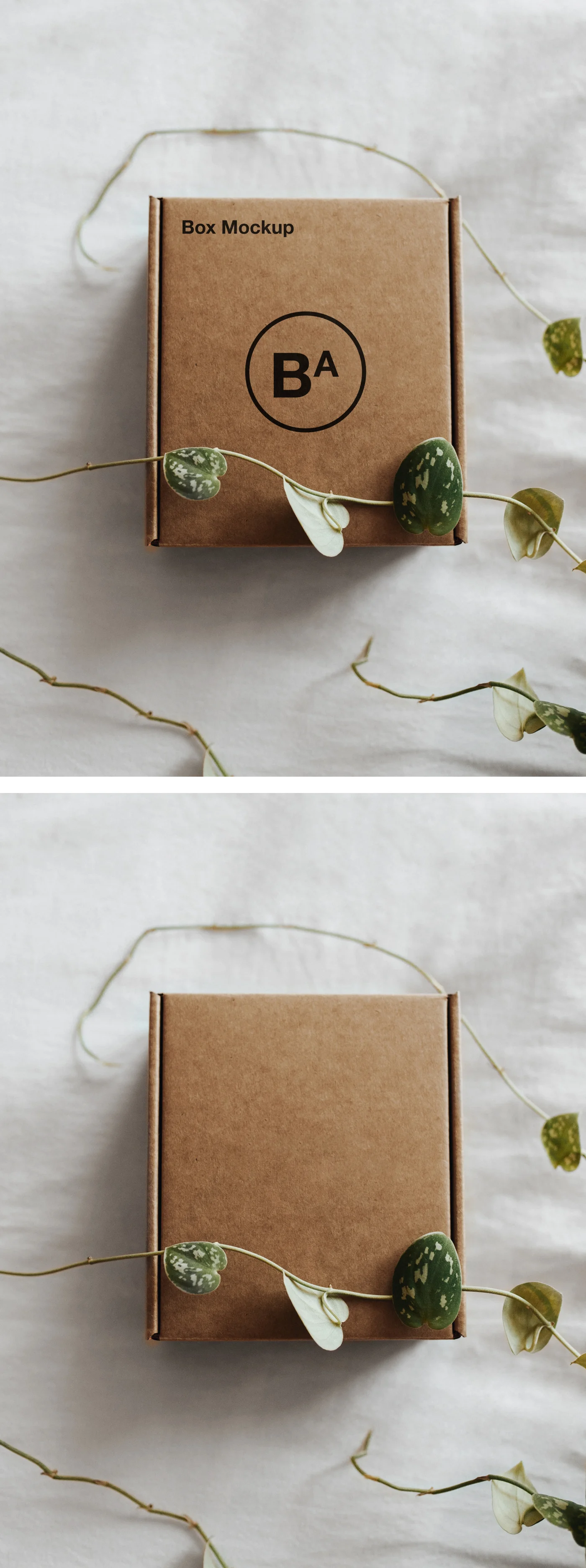Craft Paper Box Mockup
